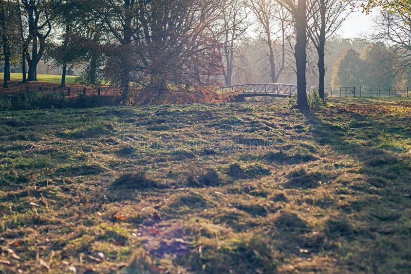 Backlit Park with White Bridge in Autumn. Stock Photo - Image of ...
