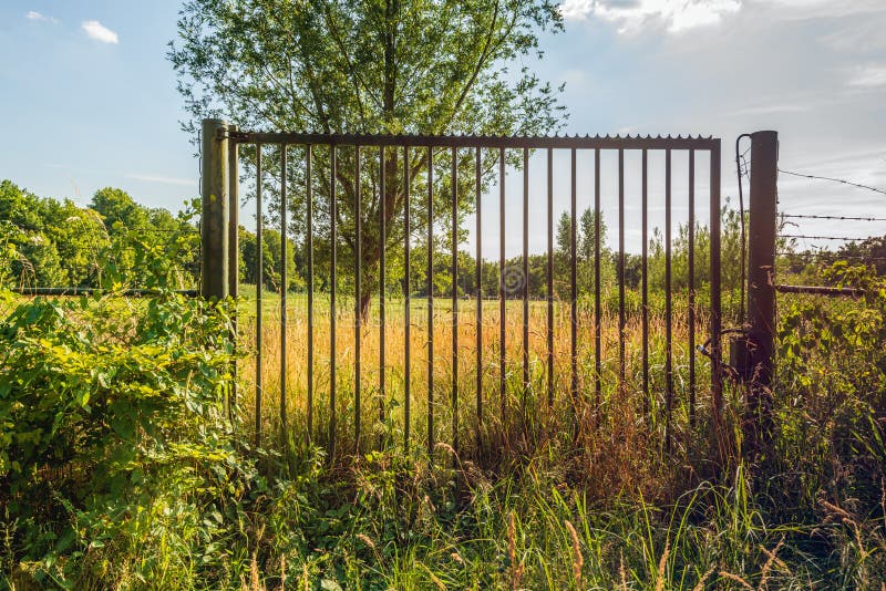 Backlit Photo of an Iron Gate with a Sharp Top Edge Stock Image - Image ...