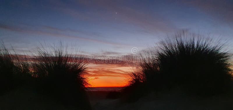 Afternoon Sunset with Backlit Vegetation. Stock Image - Image of dust ...
