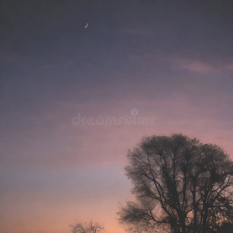 Backlit Snapshot of a Petite Crescent Moon in the Evening, Casting Tree ...