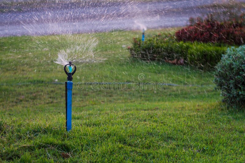 Backlit splash Springer. stock image. Image of damp, liquid - 66807523