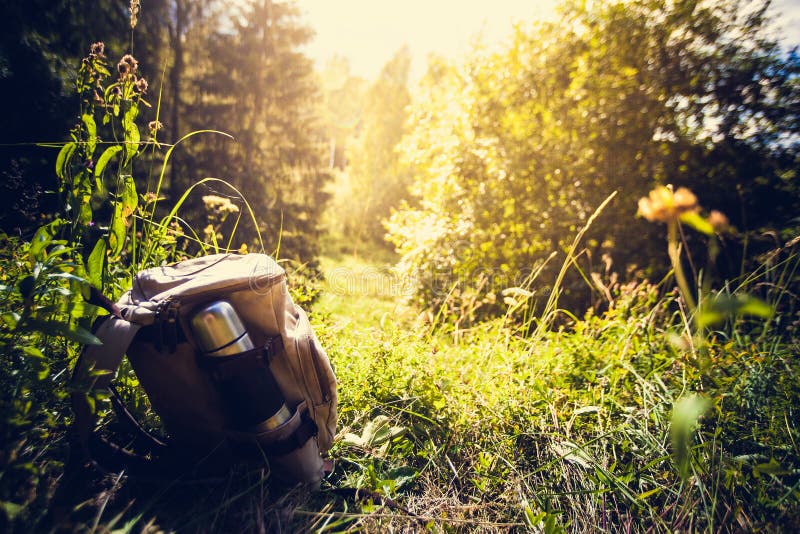 Backpack on the Forest Trail Stock Image - Image of equipment, green ...