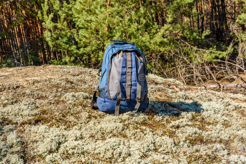 Backpack on a Ground in a Coniferous Forest Stock Photo - Image of ...