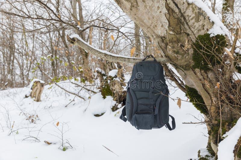 A Backpack Hanging on a Tree in the Winter Forest Stock Photo - Image ...