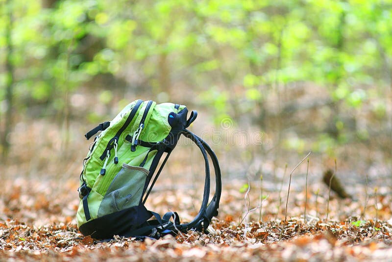 Backpack in the woods stock photo. Image of nature, backpacking - 61466254