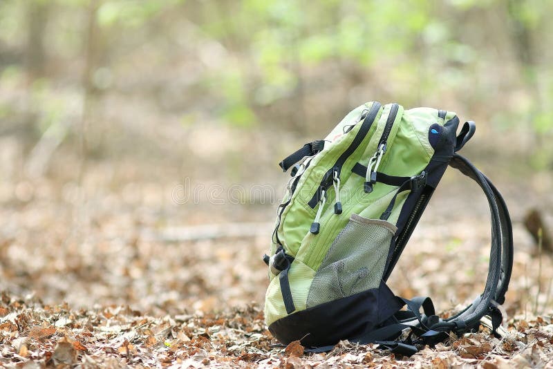 Backpack in the woods stock image. Image of info, happy - 61981927