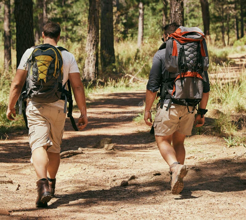 Backpacker Friends Explore Nature while Hiking in a Forest Together ...