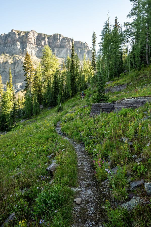 Backpacker Hikes Along the Narrow Trail To Boulder Pass Stock Photo ...