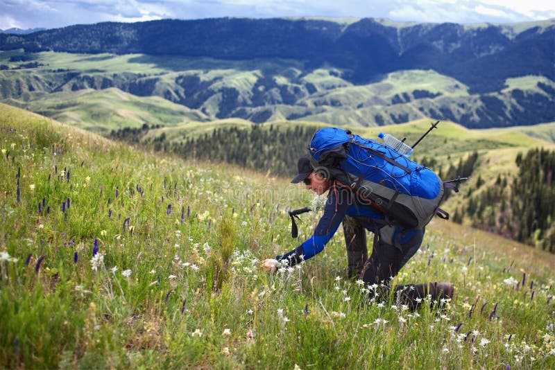 Backpacker in mountains stock photo. Image of alps, caucasian - 20375502