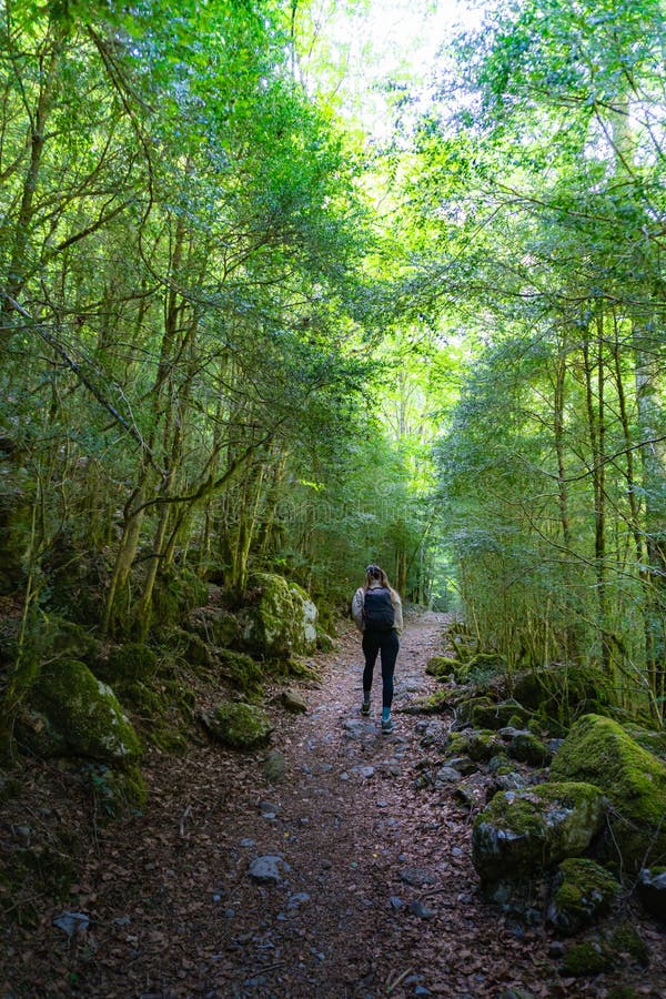 Backpacking Woman Hiking a Path among Pyrenees Trees Stock Image ...