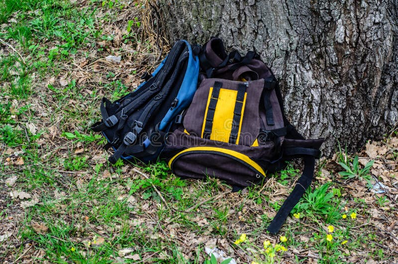 Backpacks under the tree stock image. Image of pack - 106757175