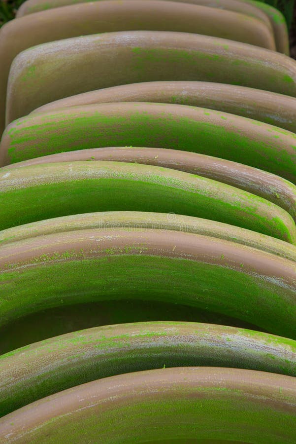 378 Backrest Texture Stock Photos - Free & Royalty-Free Stock Photos ...