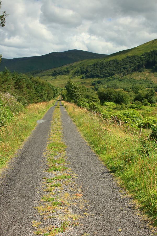 Backroad in rural ireland stock photo. Image of benwisken - 5926176