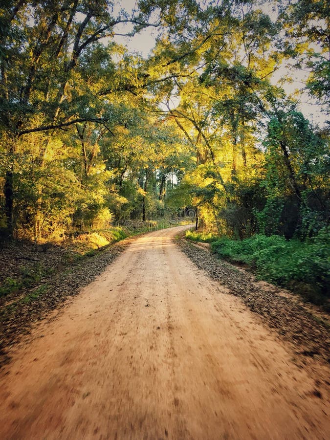 Backroads stock photo. Image of rural, woods, country - 127944954