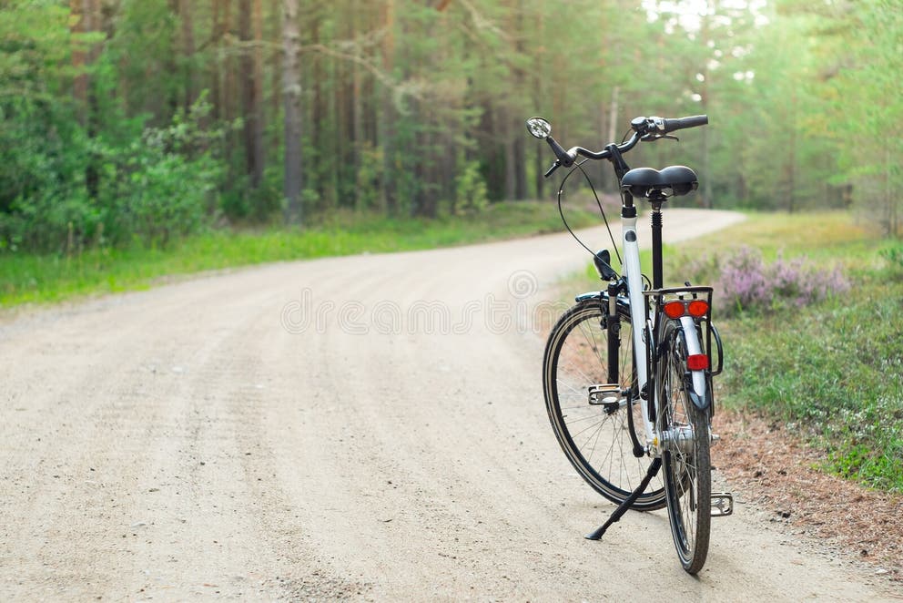 Backside of the Bicycle in the Forest, DOF Stock Image - Image of ...
