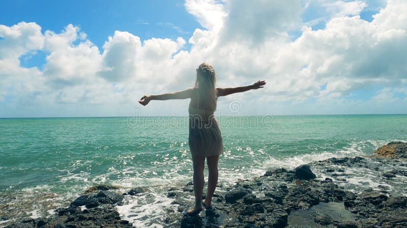 Backside View of a Pretty Lady Standing at the Ocean Coast Stock Video ...