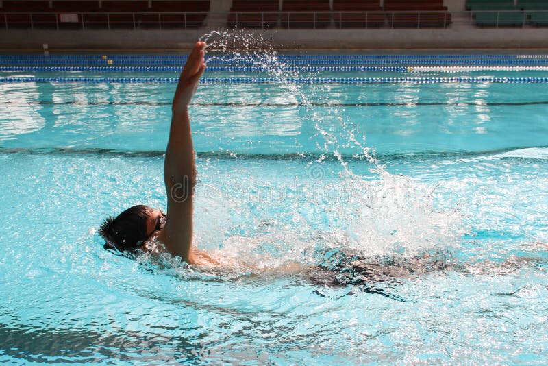 Backstroke stock photo. Image of activity, healthy, professional - 49724422