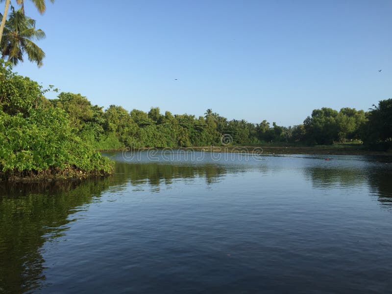 Backwater Greenery Blue Sky Water Stock Image - Image of backwater ...