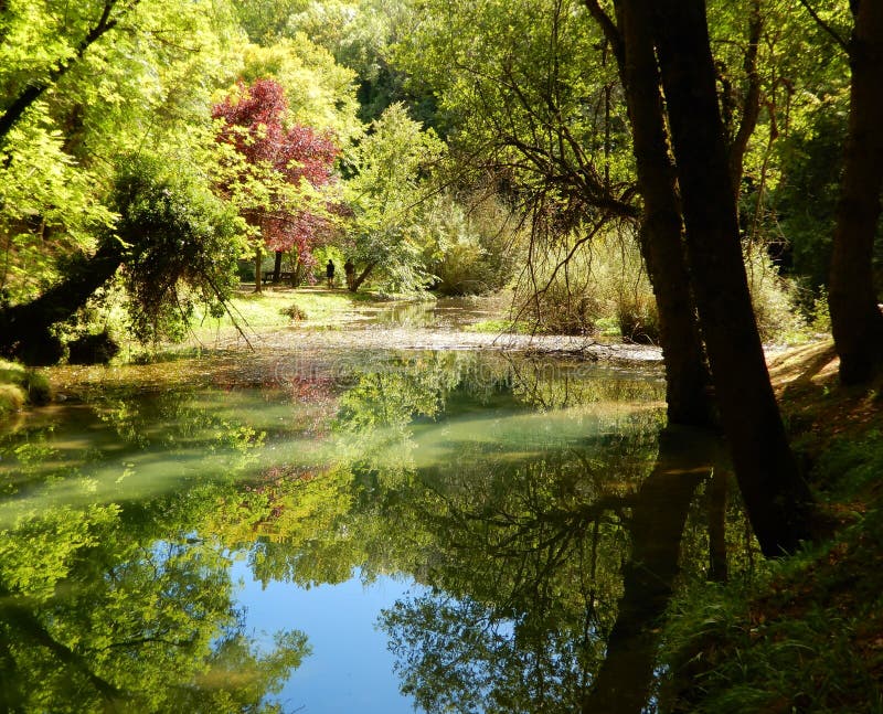 Backwater with Mirror Effect in Nature Stock Photo - Image of water ...