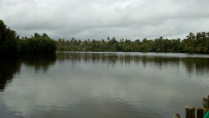 Backwater stock photo. Image of trees, reflection, backwater - 162496850