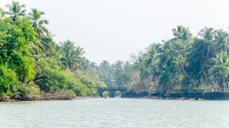 Small Bridge Over a Stream in the Back Waters Stock Image - Image of ...