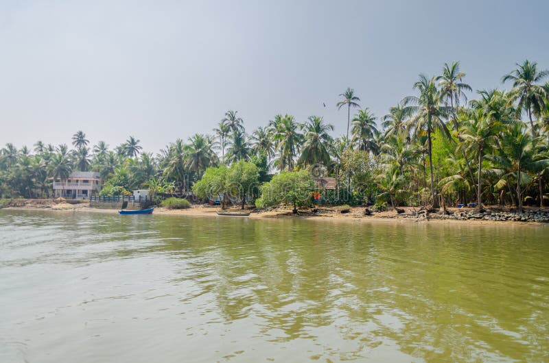 Backwaters with an Island in the Background Stock Image - Image of ...