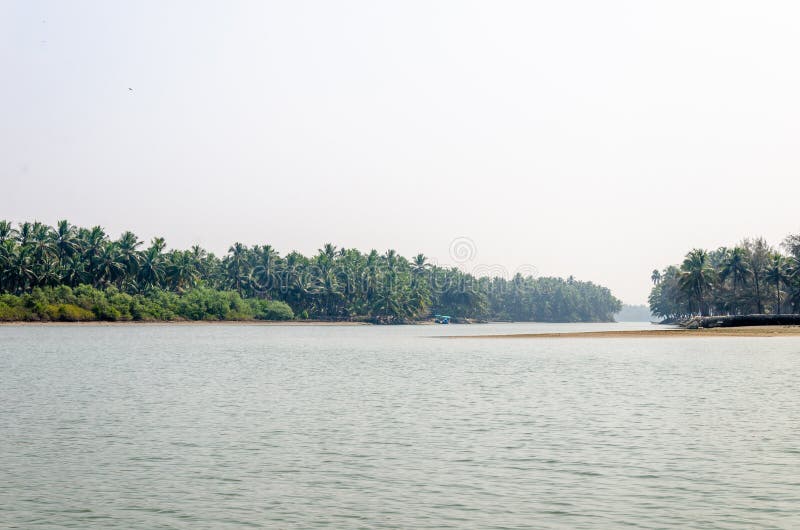 Backwaters of Kemmanu Delta Stock Image - Image of kalyanpur, lagoon ...