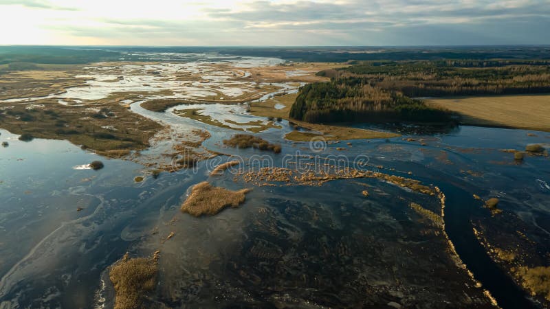 Backwaters of the Narew River Stock Photo - Image of environment ...