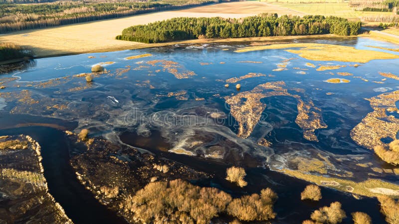 Backwaters of the Narew River Stock Photo - Image of texture, wetlands ...