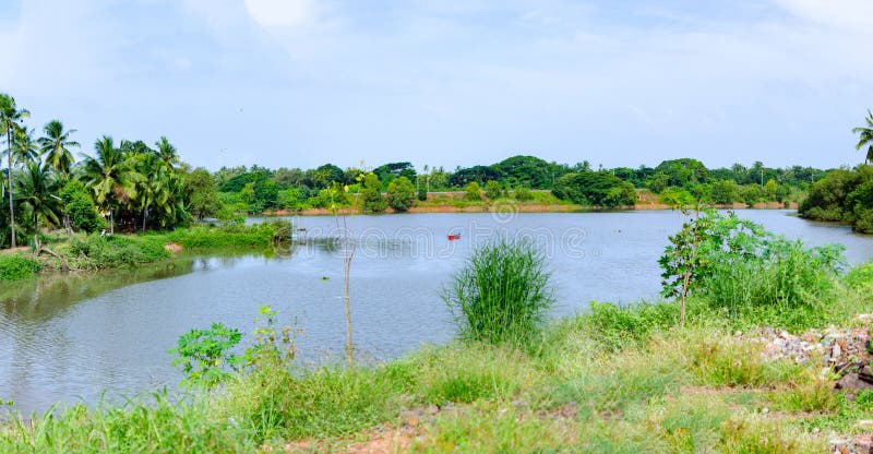 Netravathi River Stock Photos - Free & Royalty-Free Stock Photos from ...