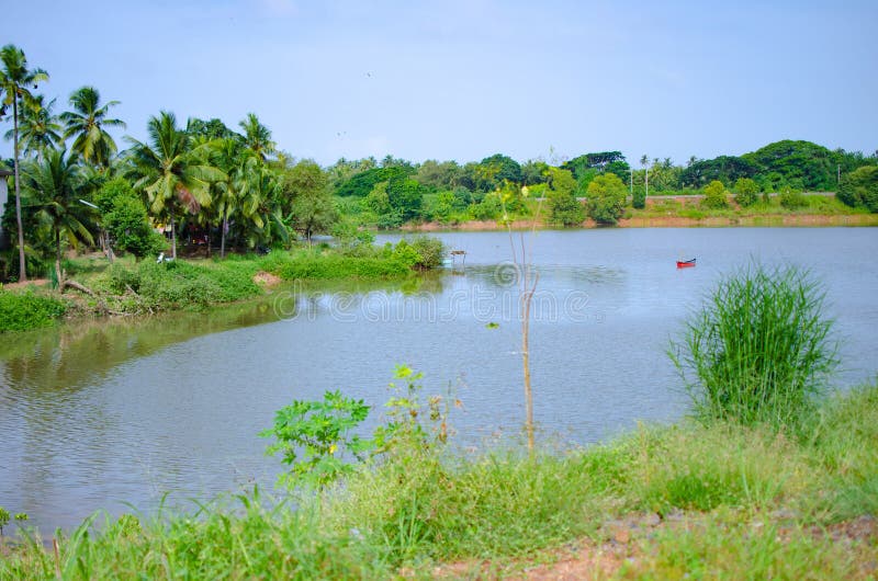 Netravathi River Stock Photos - Free & Royalty-Free Stock Photos from ...