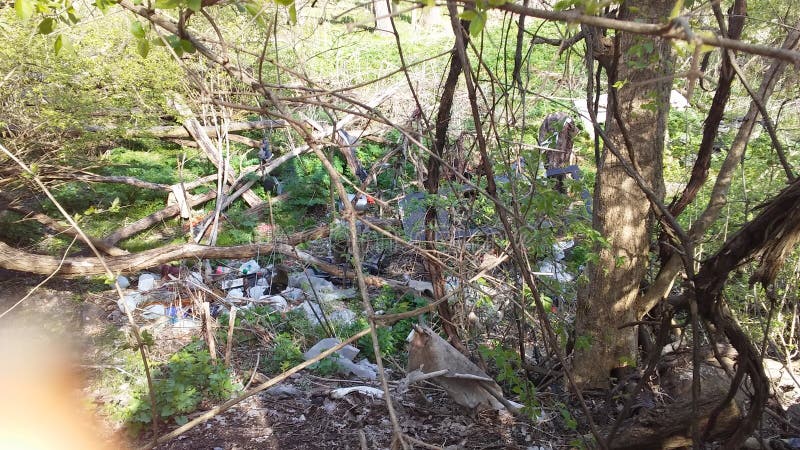 Backwoods stock photo. Image of kokosing, backwoods, hiking - 90260582