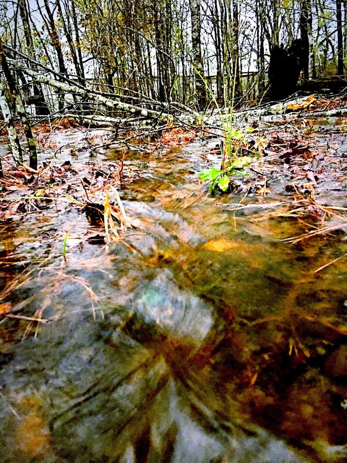 Backwoods stream stock image. Image of pond, flooding - 66748213