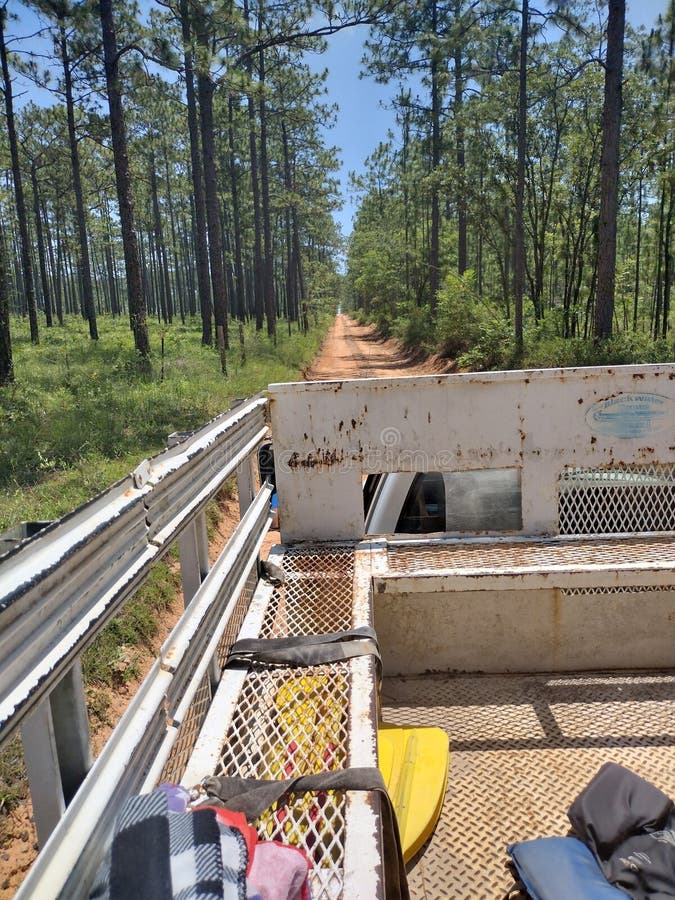 Backwoods stock image. Image of bridge, summer, waterway - 251470841
