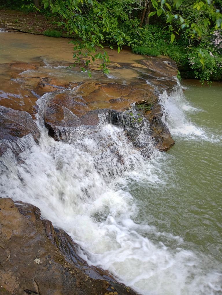 7,315 Backwoods Stock Photos - Free & Royalty-Free Stock Photos from ...