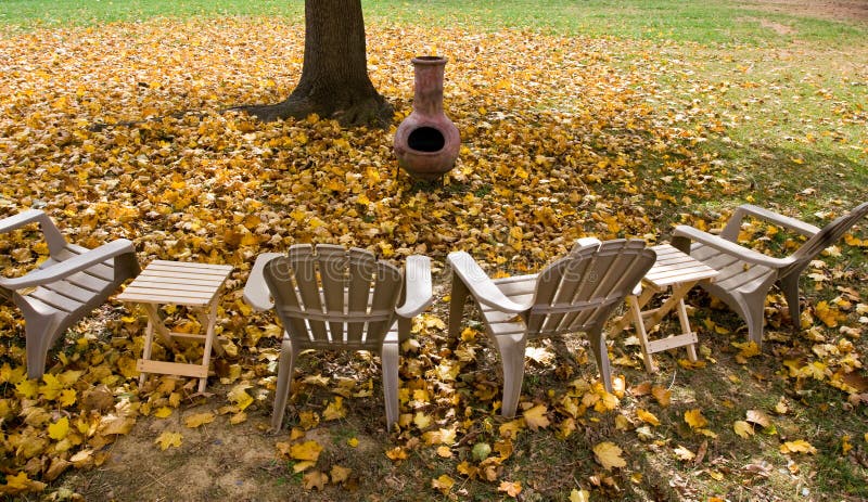 Backyard Autumn stock image. Image of back, colours, apple - 6720079