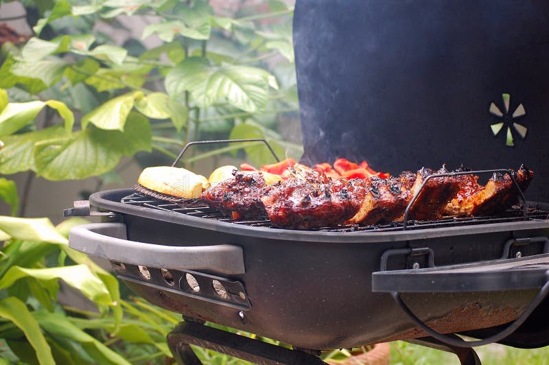 Backyard BBQ stock photo. Image of vegetables, grilling - 26122346