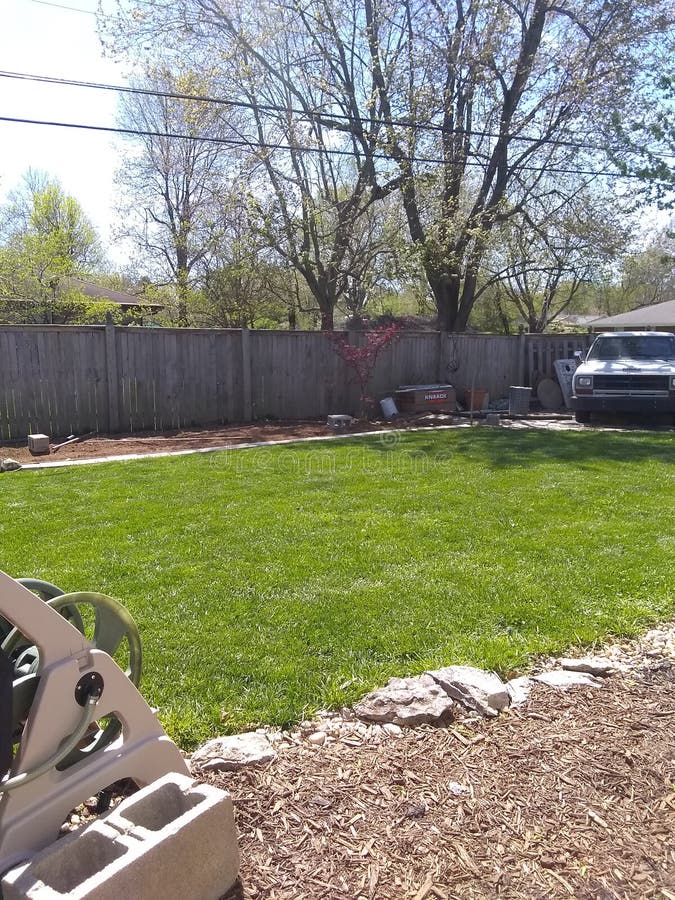 Backyard with Beautiful Green Grass Editorial Stock Image - Image of ...