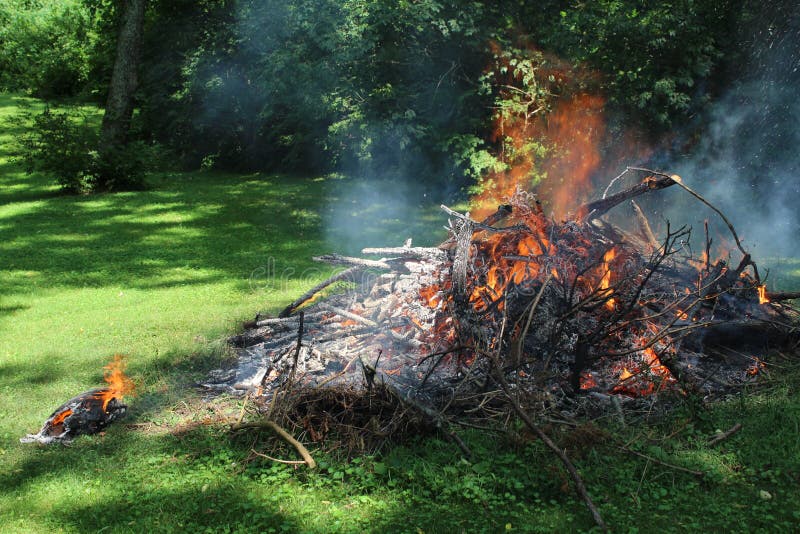 Backyard controlled burn stock photo. Image of weeds - 191447798