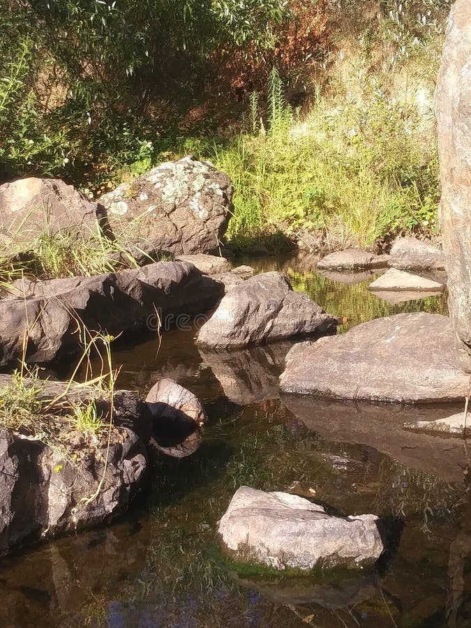 Backyard Creek Nature Rocks Water Stock Photo - Image of creek, rocks ...