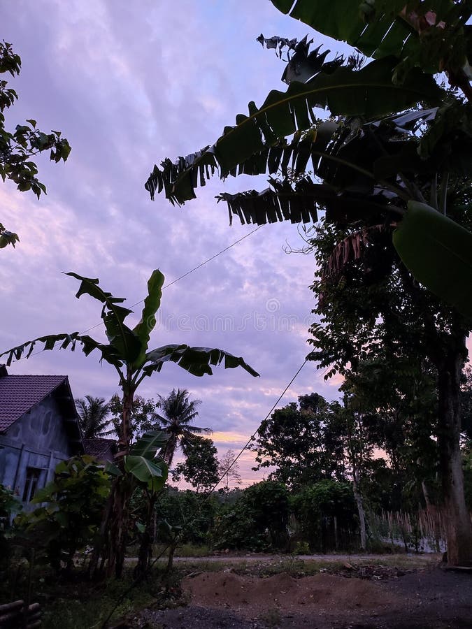 Backyard Field by Dark stock image. Image of backyard - 261749673