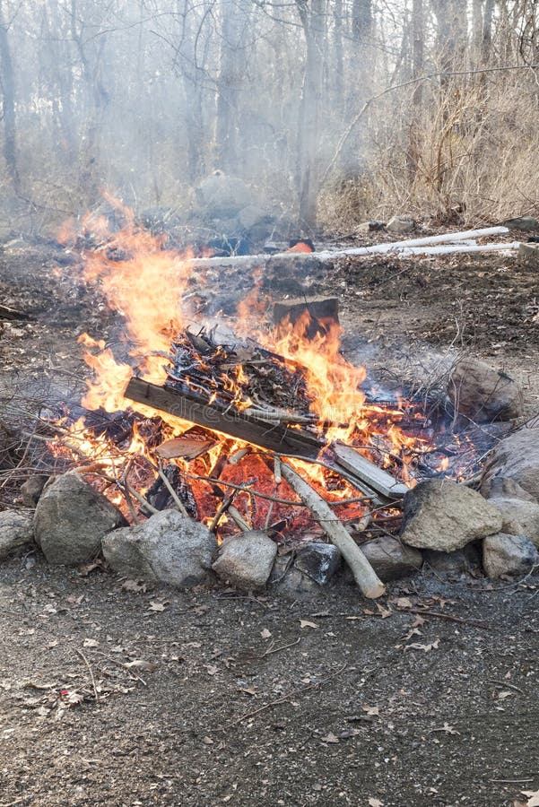 Backyard fire pit stock photo. Image of yard, burn, flames - 54901096
