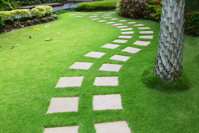 Backyard Garden with Footpath Stock Image - Image of nature, flower ...