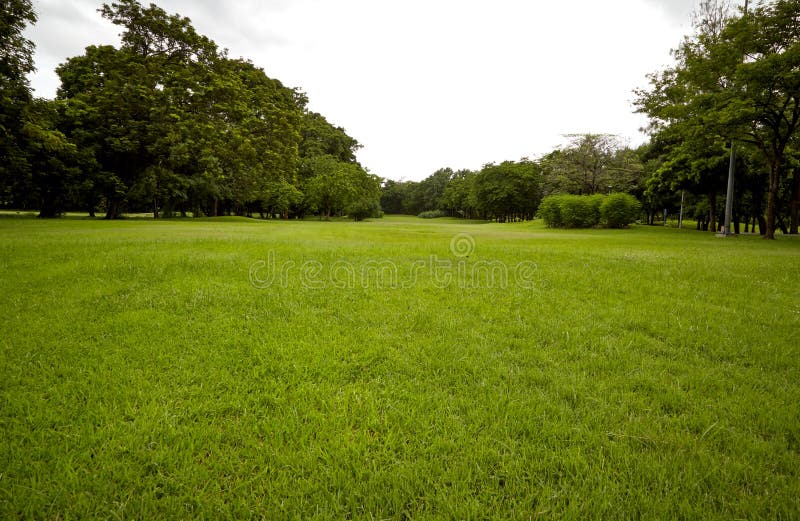 Backyard stock photo. Image of garden, freedom, modern - 73911734