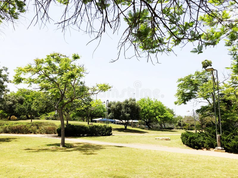 Backyard and Garden with Trees and Grass on Lawn Stock Photo - Image of ...