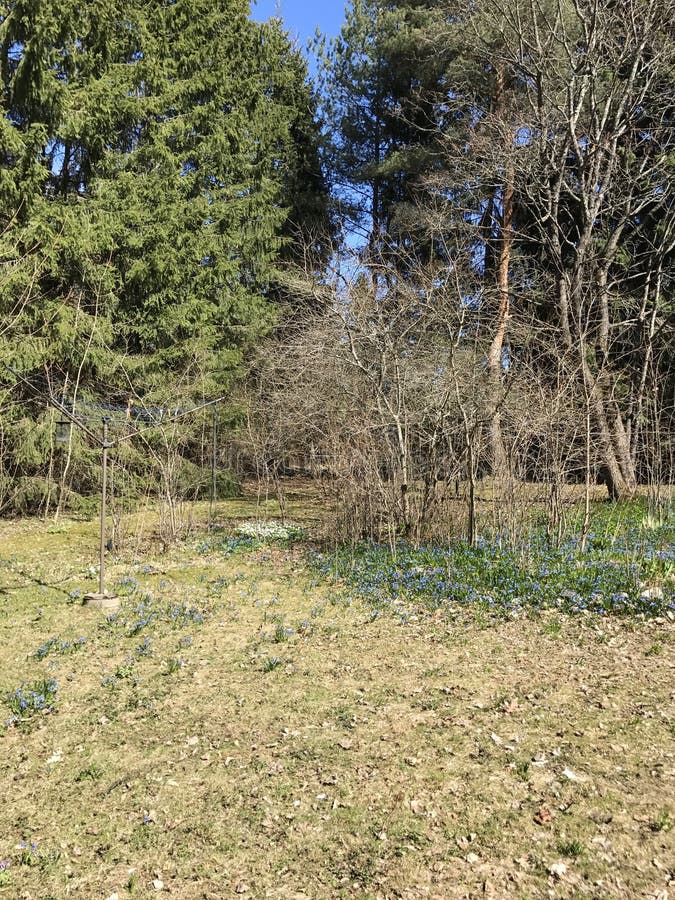 Not in My Backyard stock photo. Image of backyard, summer - 157110436