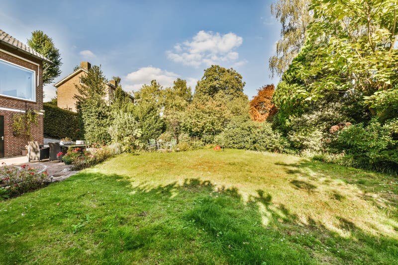 A Backyard with a Green Lawn and Trees Stock Photo - Image of ...