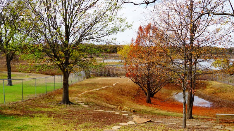 A Backyard Landscape with Trees and a Pathway. Stock Photo - Image of ...