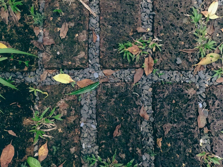Backyard Landscaping Pathway Texture Stock Photo - Image of footpath ...