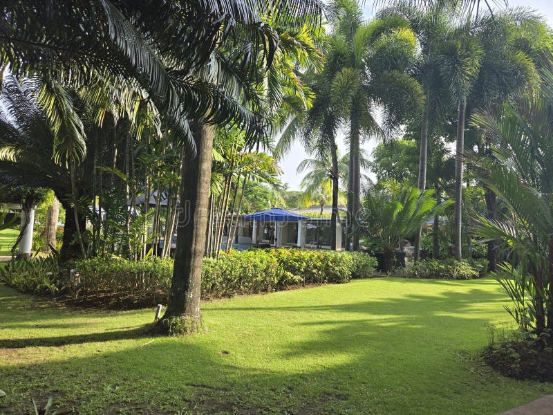 Philippines August 14 2024: Backyard of Mount Sea Resort at Rosario ...